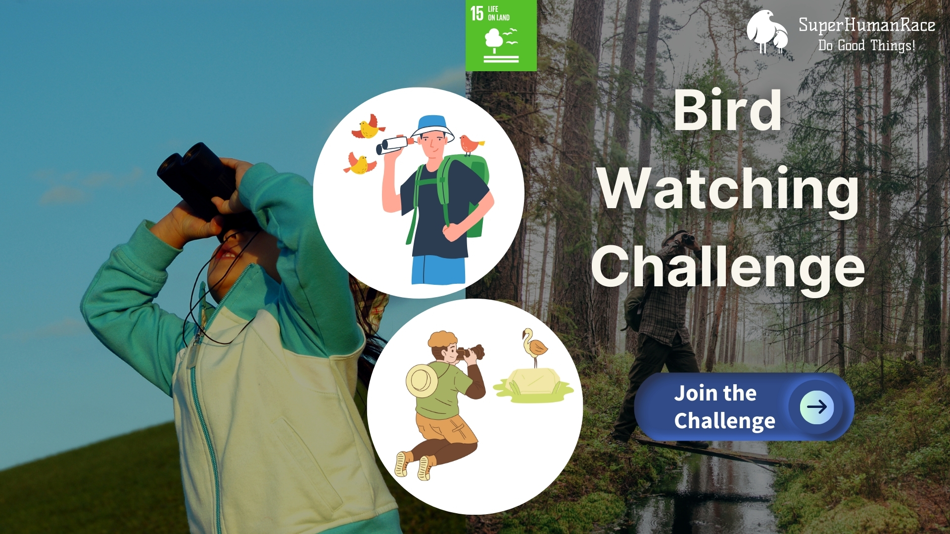 Bird Watching Challenge