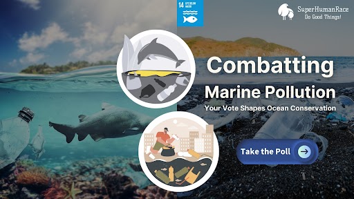 Combatting Marine Pollution