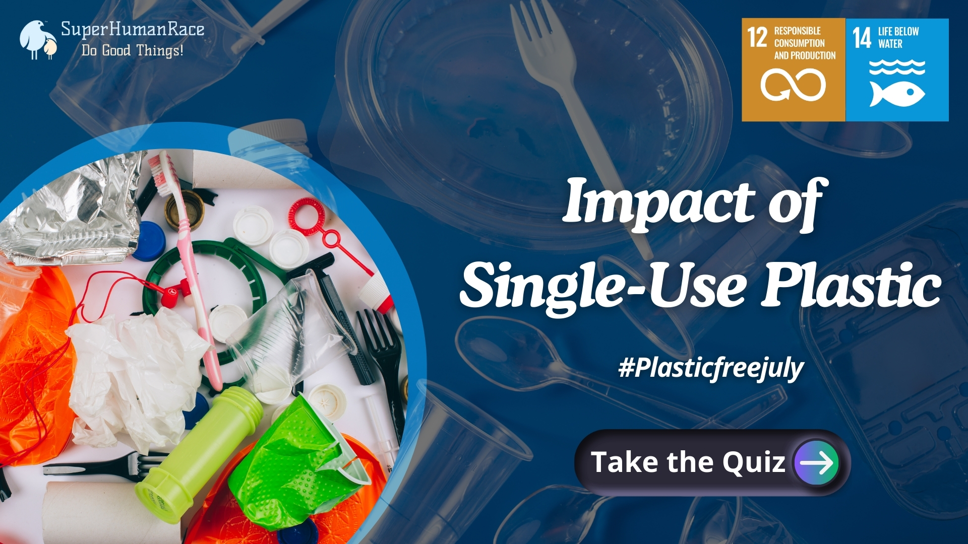 Impact of Single-Use Plastic