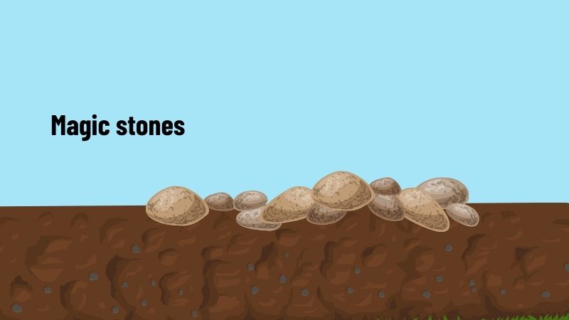 Your role to reduce Desertification