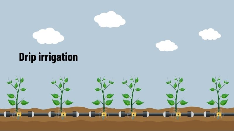 Your role to reduce Desertification