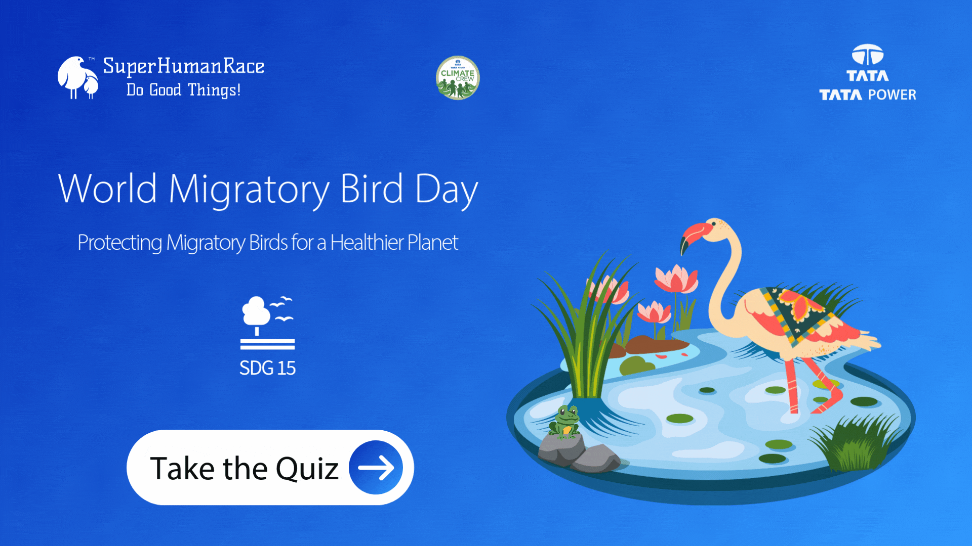 World Migratory Bird Day